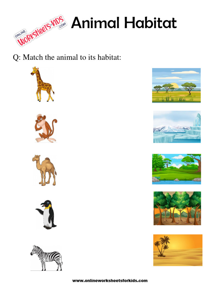 Animal Habitats Worksheets For Grade 1-1 | PDF
