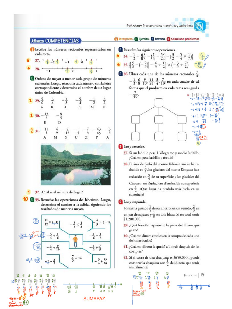 Eval Math 8 1P 2023 Calificada | PDF
