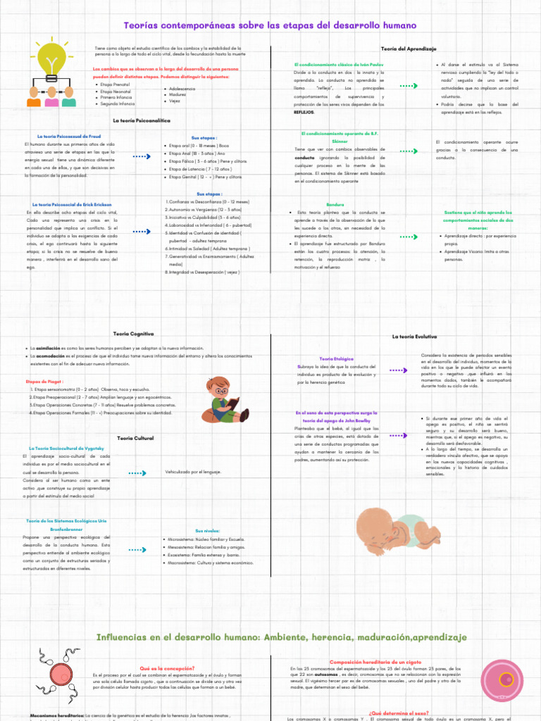 Etapas del Desarrollo Humano y Teorías | PDF | Parto | Aprendizaje