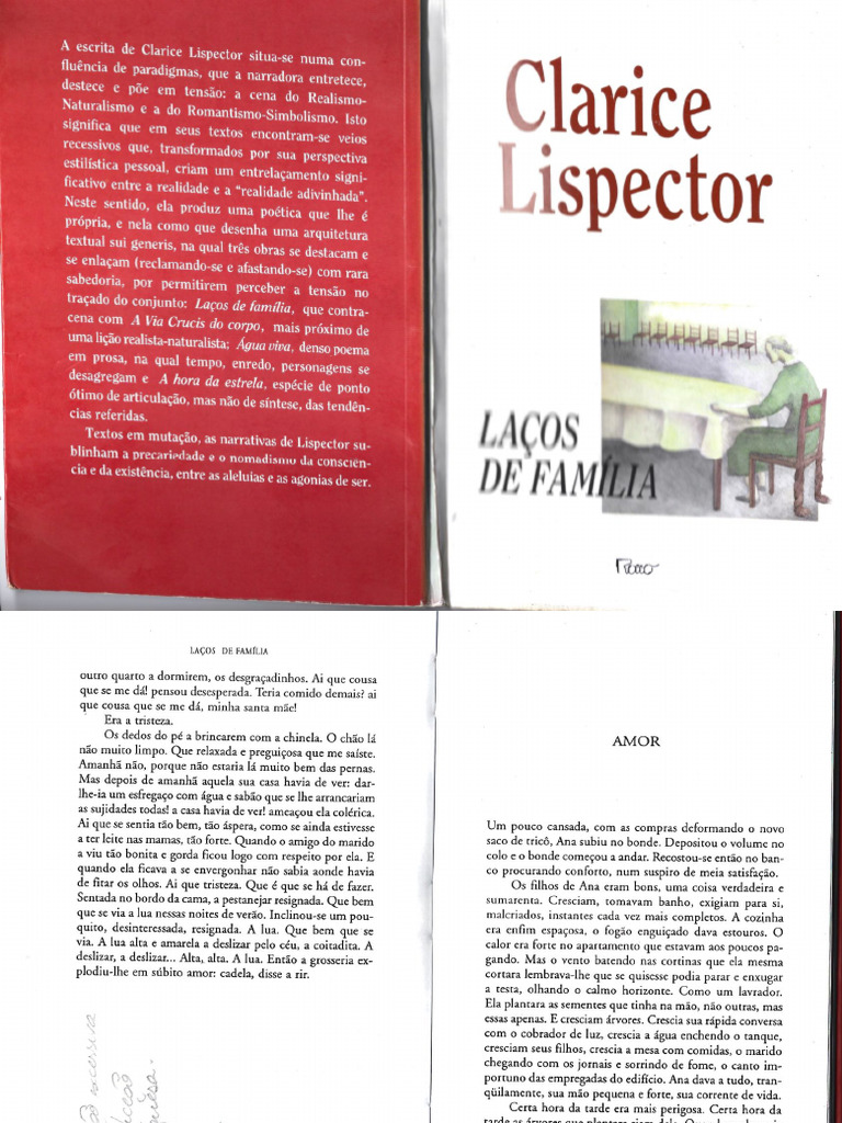 Amor Clarice Lispector | PDF