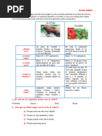 Experimento Tinta Invisible Con Curcuma - 20250203 - 094212 - 0000 ...