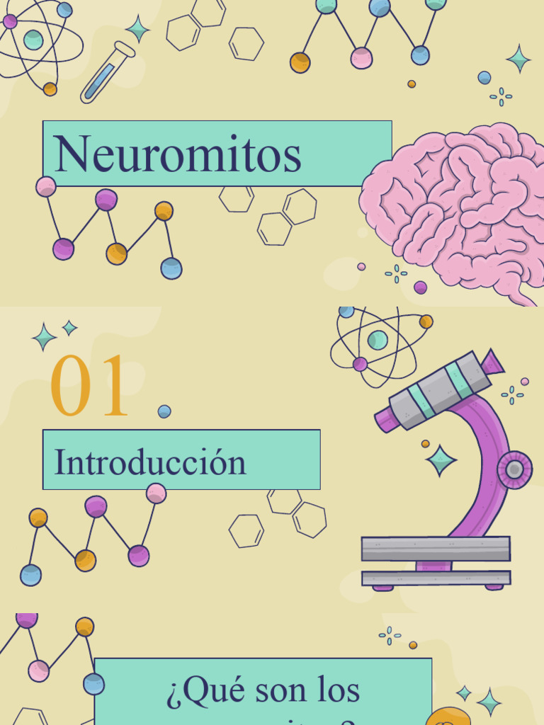 Neuromitos - Introduccion | PDF | Cerebro | Aprendizaje