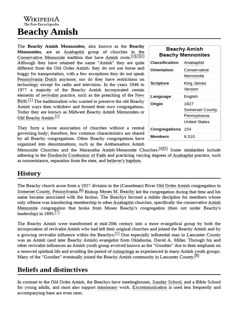 Beachy Amish | PDF | Christian Denominational Families | Christian Movements