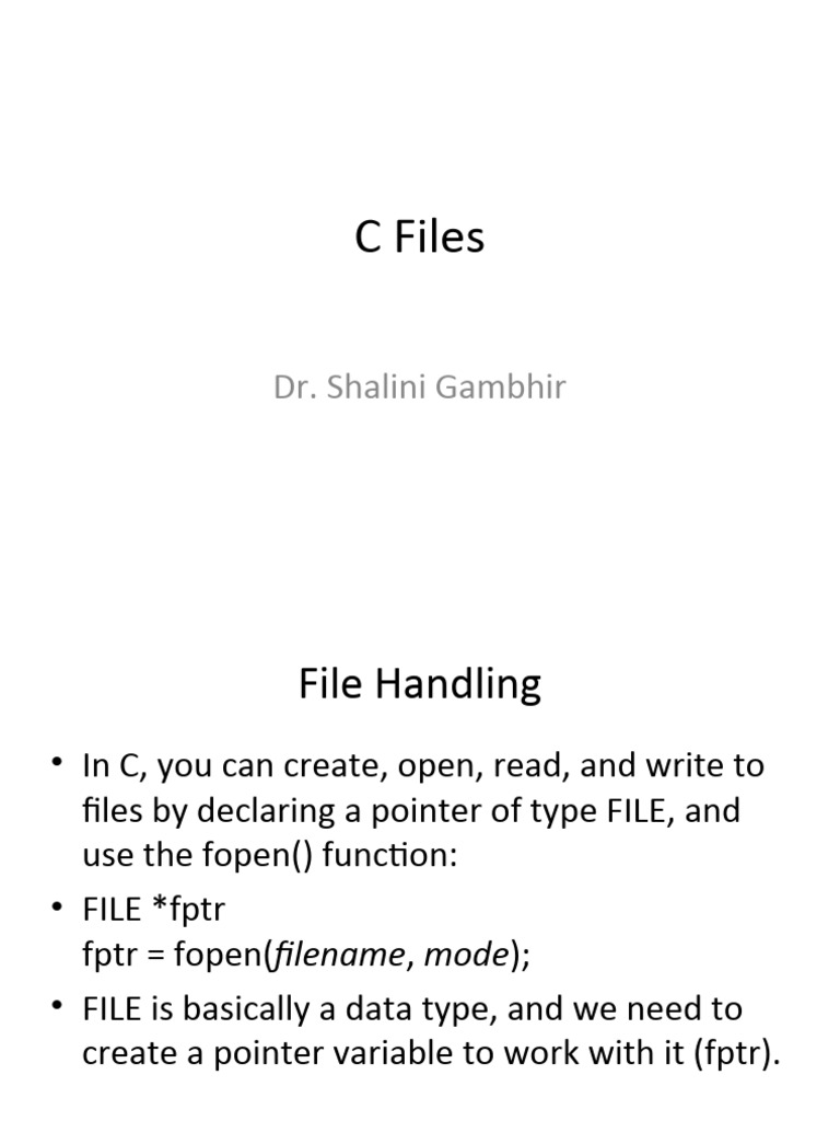 C File | PDF | Computer File | Filename