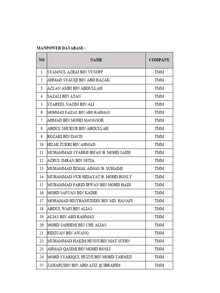 Manpower Data | PDF