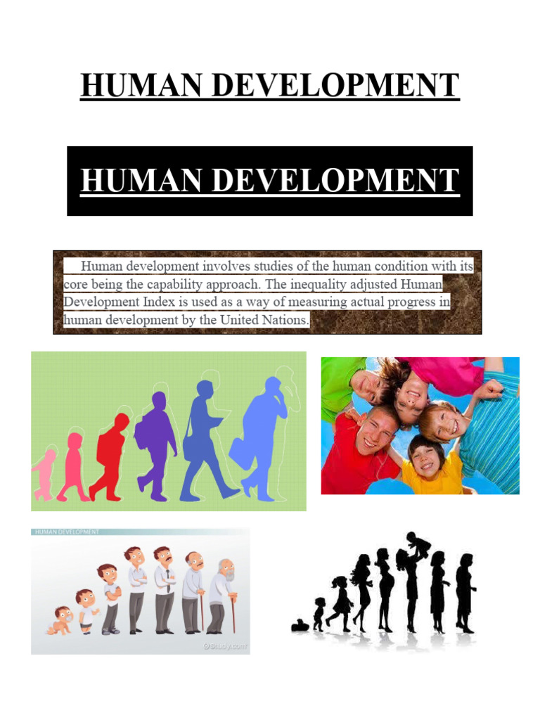 Human Development (Educ 111) | PDF | Prenatal Development | Adolescence
