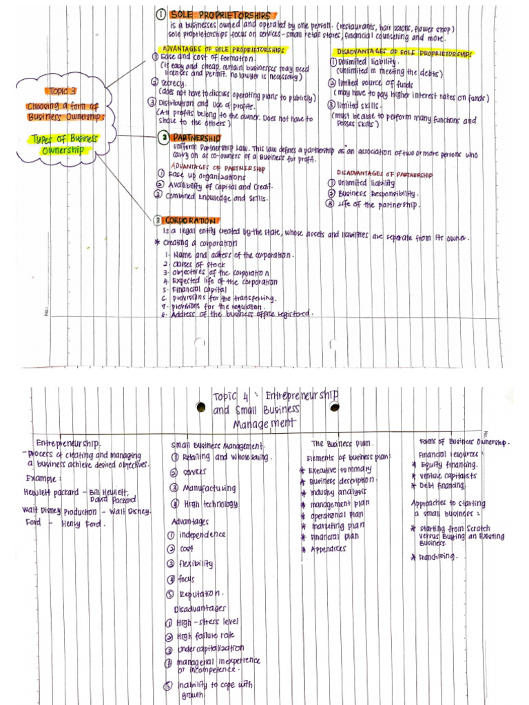 MGT Mind Map | PDF