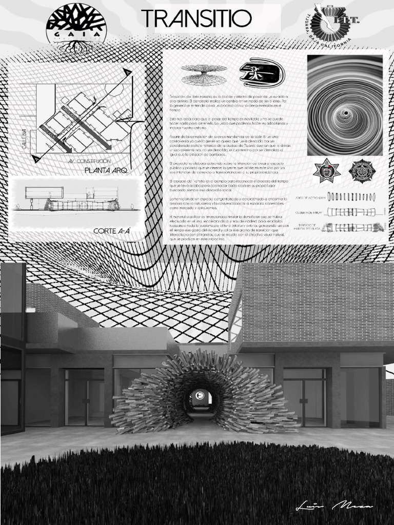 Lamina Transitio | PDF