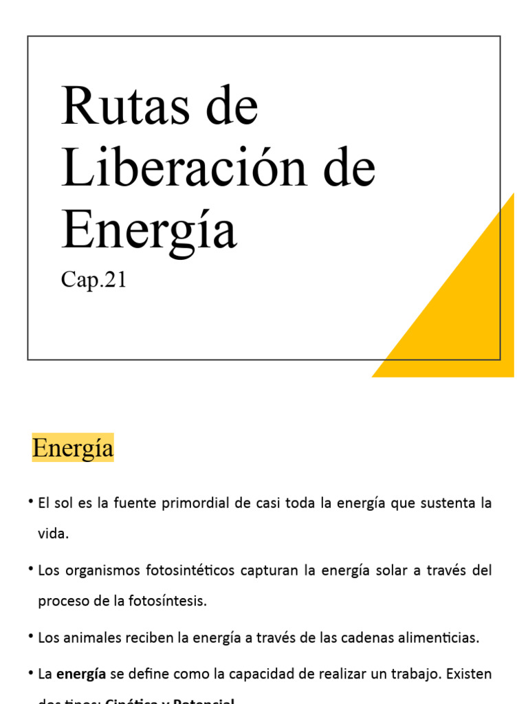 Cap 21 Rutas de Liberacion de Energia | PDF | Respiración celular | Trifosfato de adenosina