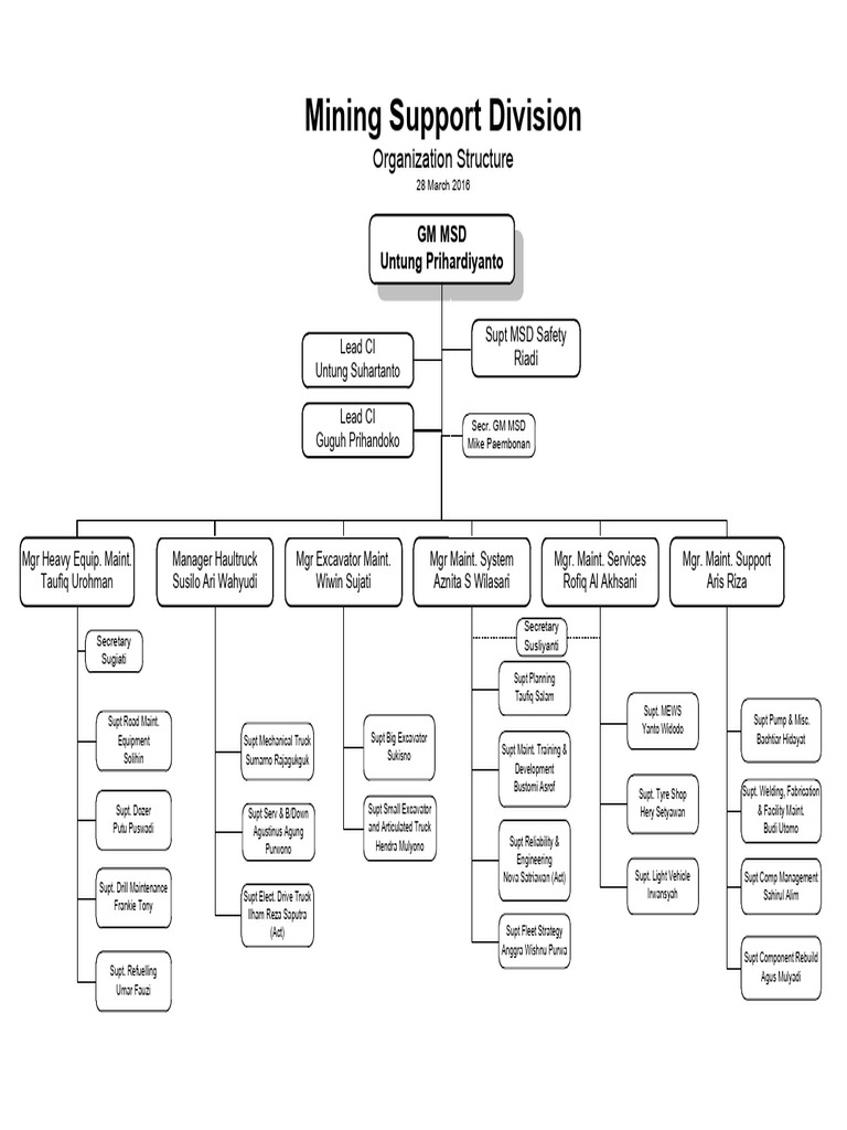 MSD Org Chart | PDF | Motor Vehicle | Transport