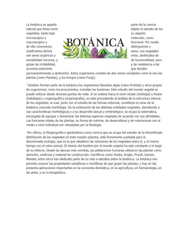 Botánica: Ciencia del Mundo Vegetal | PDF | Botánica | Plantas