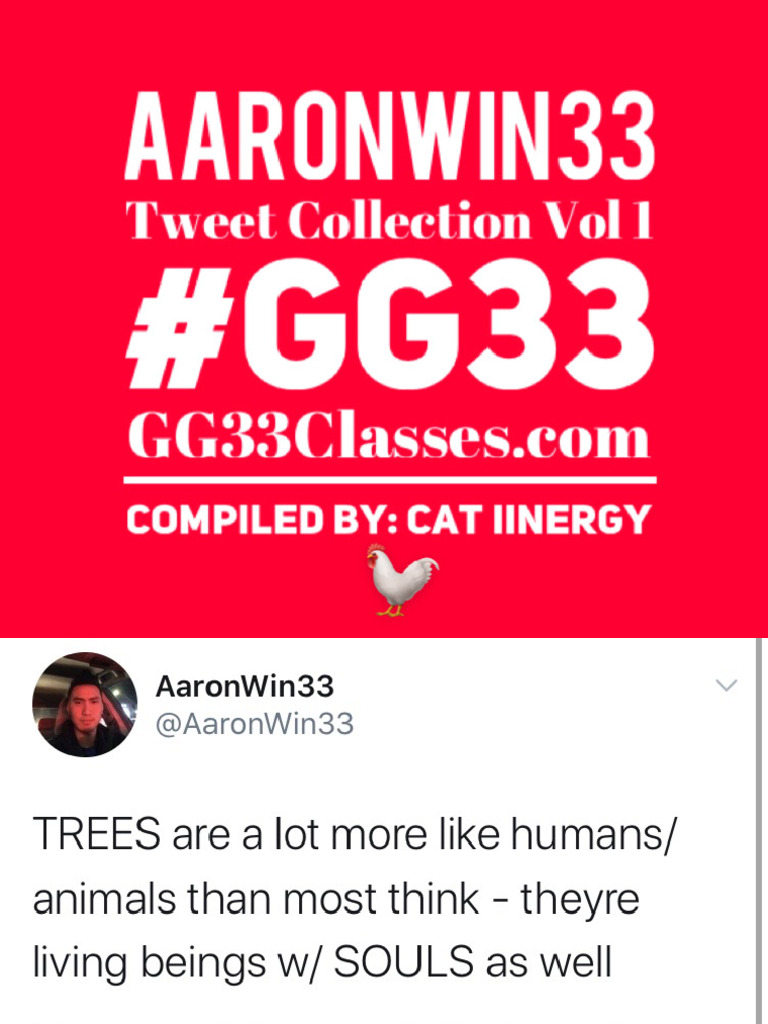 AaronWin33 Tweet Collection Vol 1 | PDF