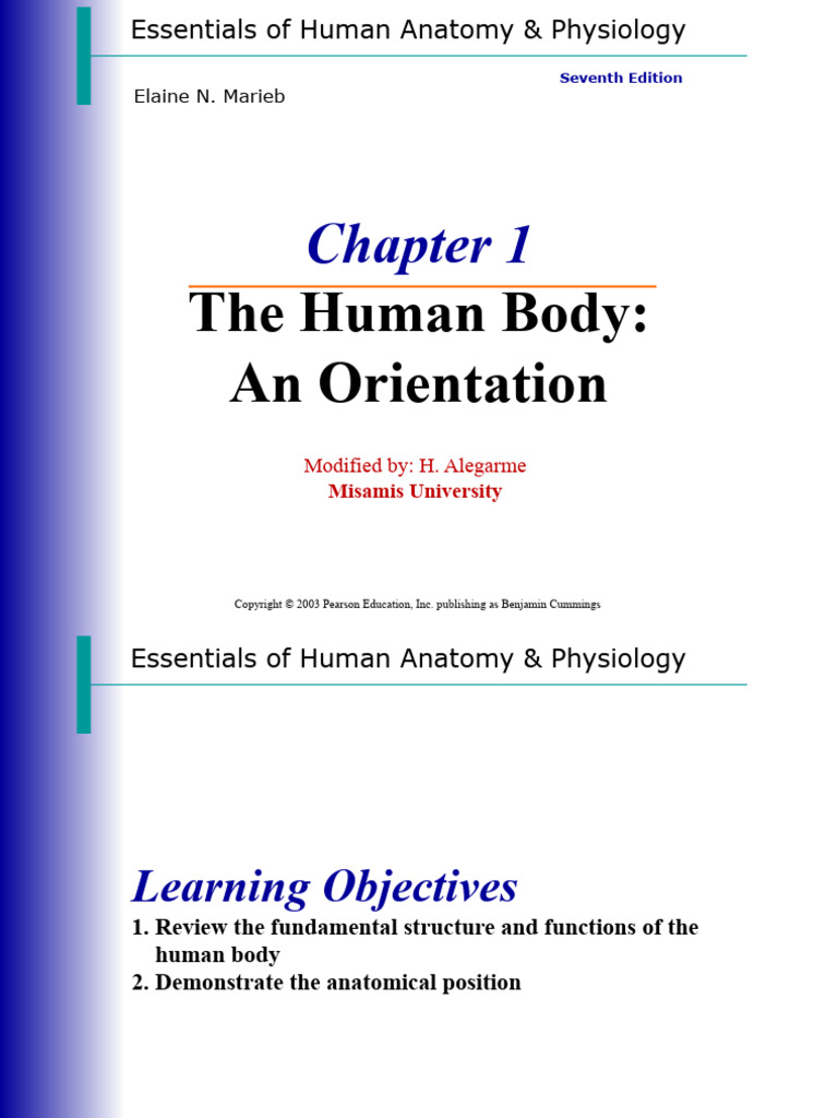 A. Module 1.1 (The Human Body) | PDF | Human Body | Homeostasis