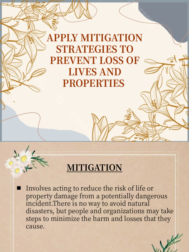 Mitigation Strategies for Natural Hazards | PDF | Emergency Management ...