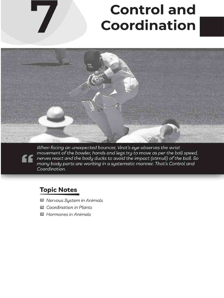 Control and Co Ordination | PDF