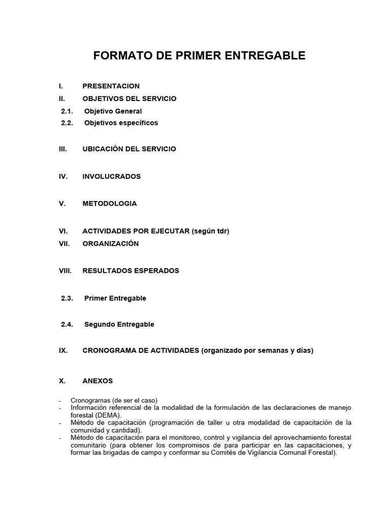 Estructura de Primer Entregable | PDF