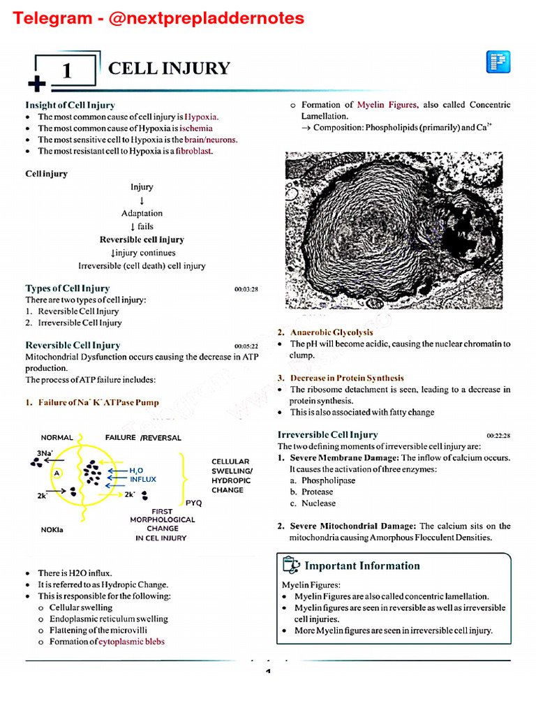 Pathology Ed5 (Medicalstudyzone - Com) | PDF