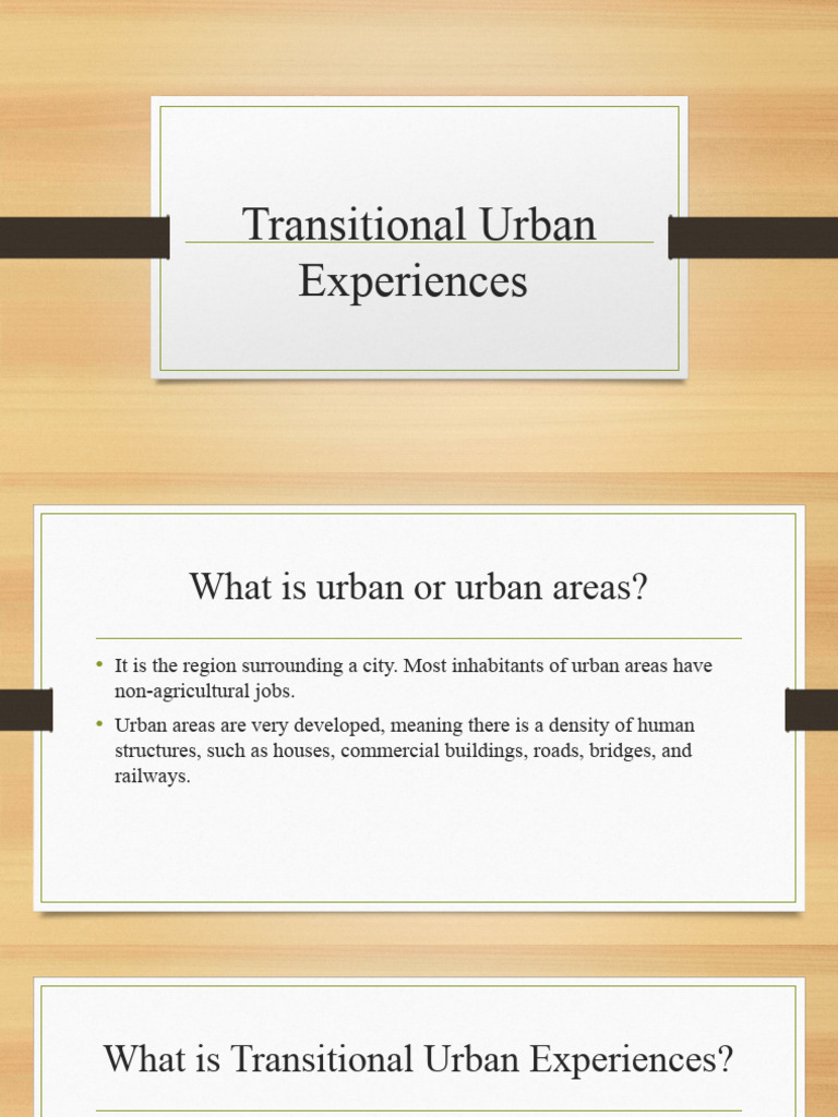 Transitional Urban Experience | PDF | Urban Renewal | Infrastructure