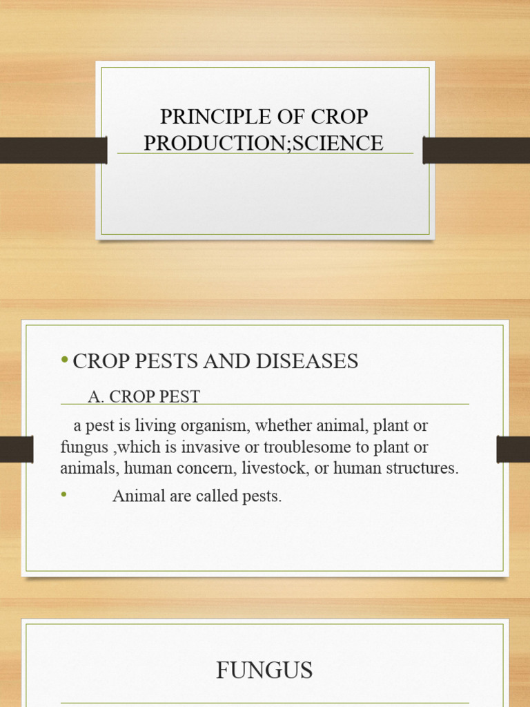 Presentation1 Crop Production | PDF | Pest Control | Pest (Organism)