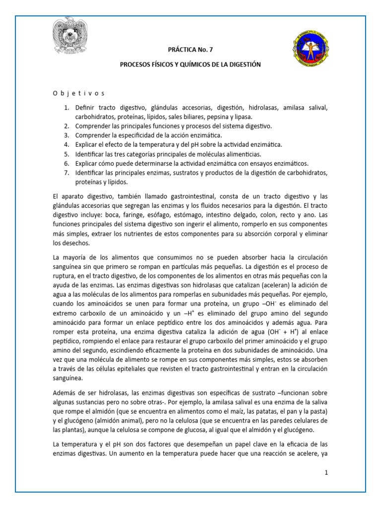 Práctica 7 Procesos Físicos y Químicos de La Digestión | Descargar gratis PDF | Digestión ...