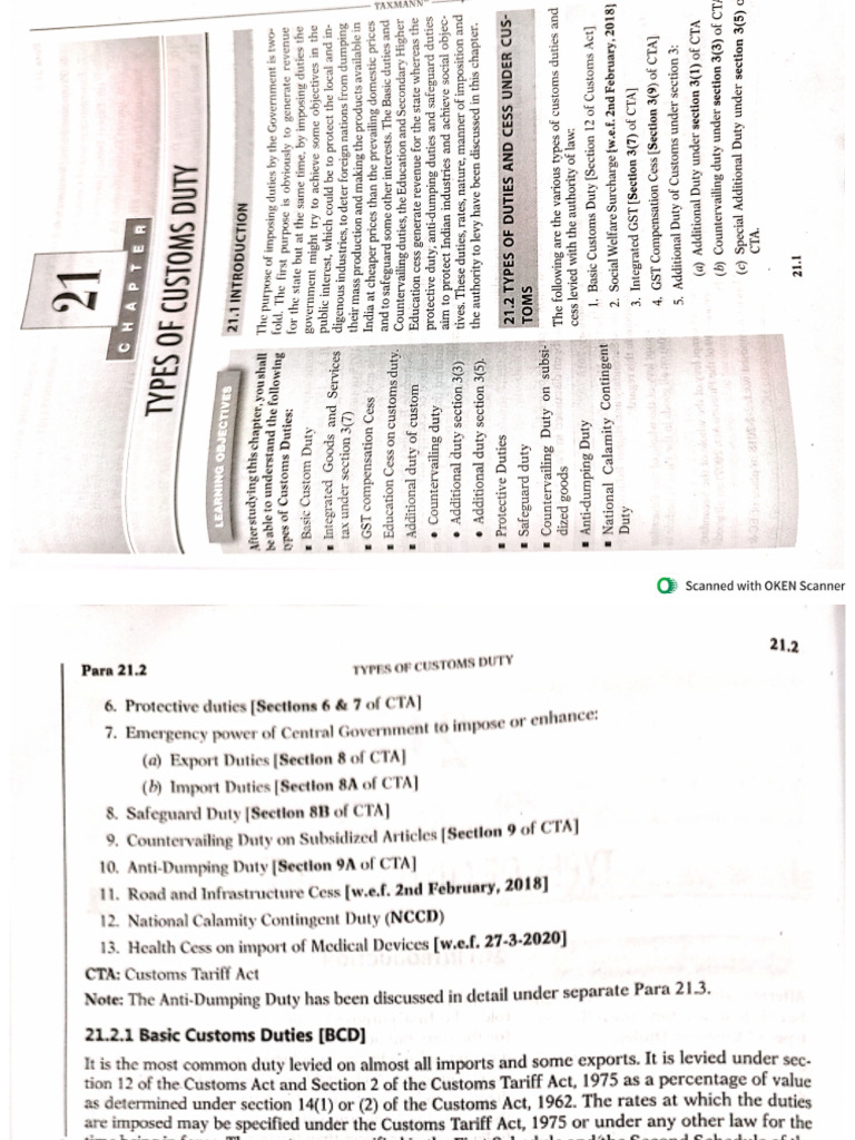 Types of Customs | PDF