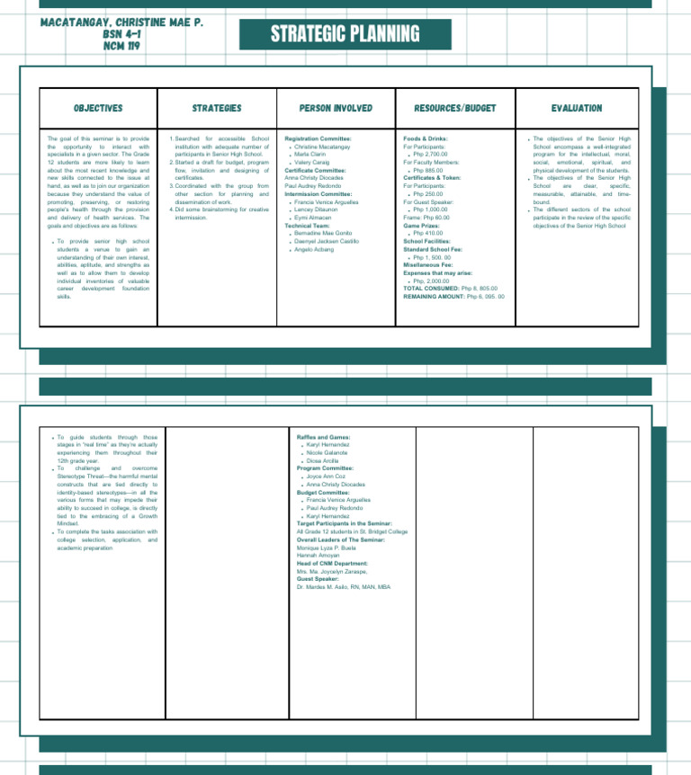 Strategic Planning | PDF