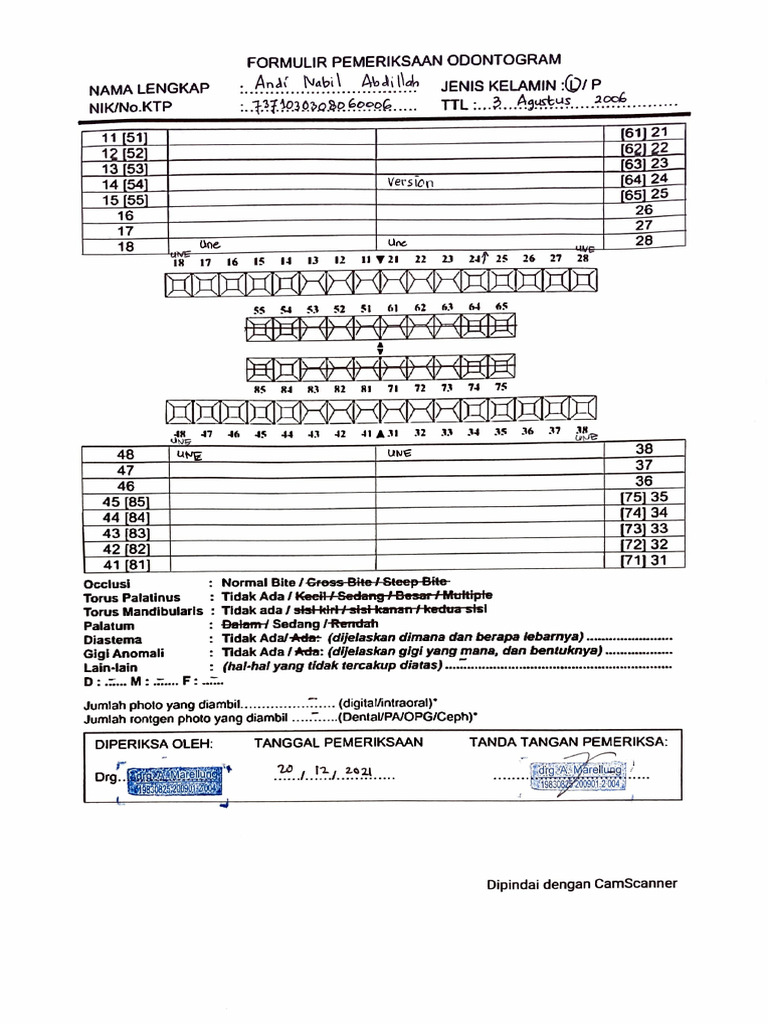 Odontogram Baksos | PDF