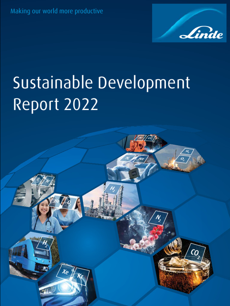 2022 Sustainable Development Report | PDF | Sustainability | Low Carbon ...