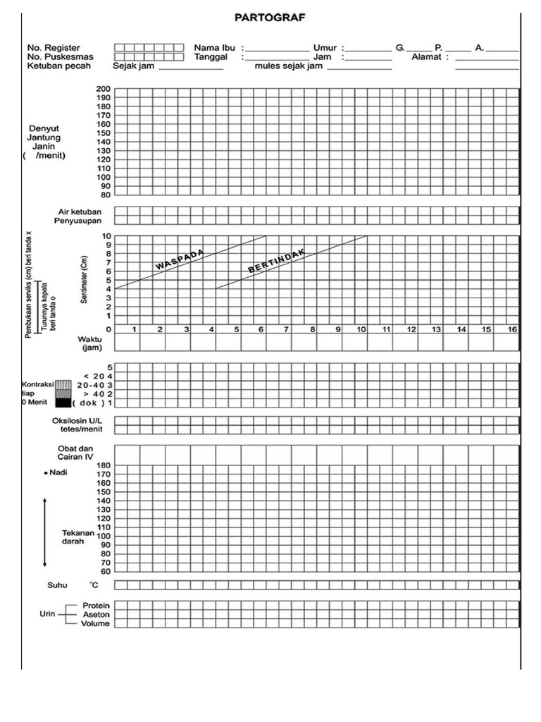 PARTOGRAF | PDF