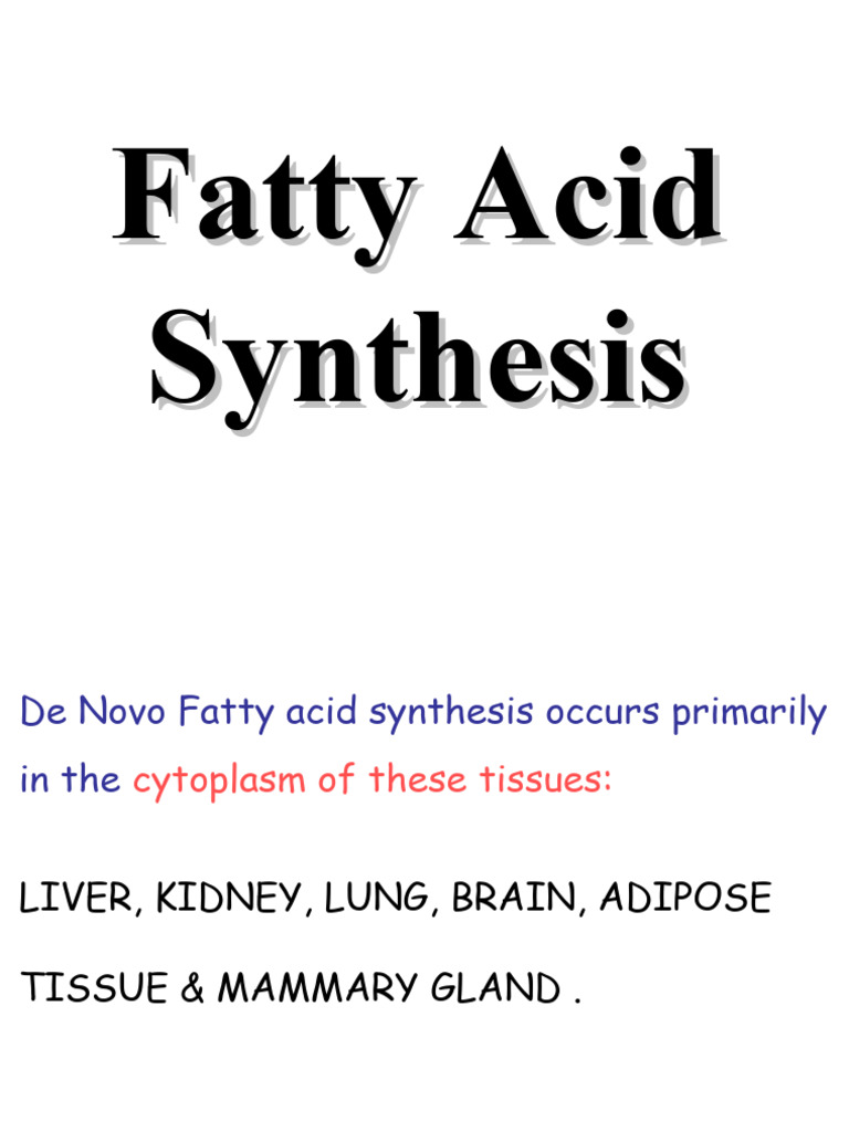 Fatty Acids Synthesis | PDF | Biosynthesis | Adenosine Triphosphate