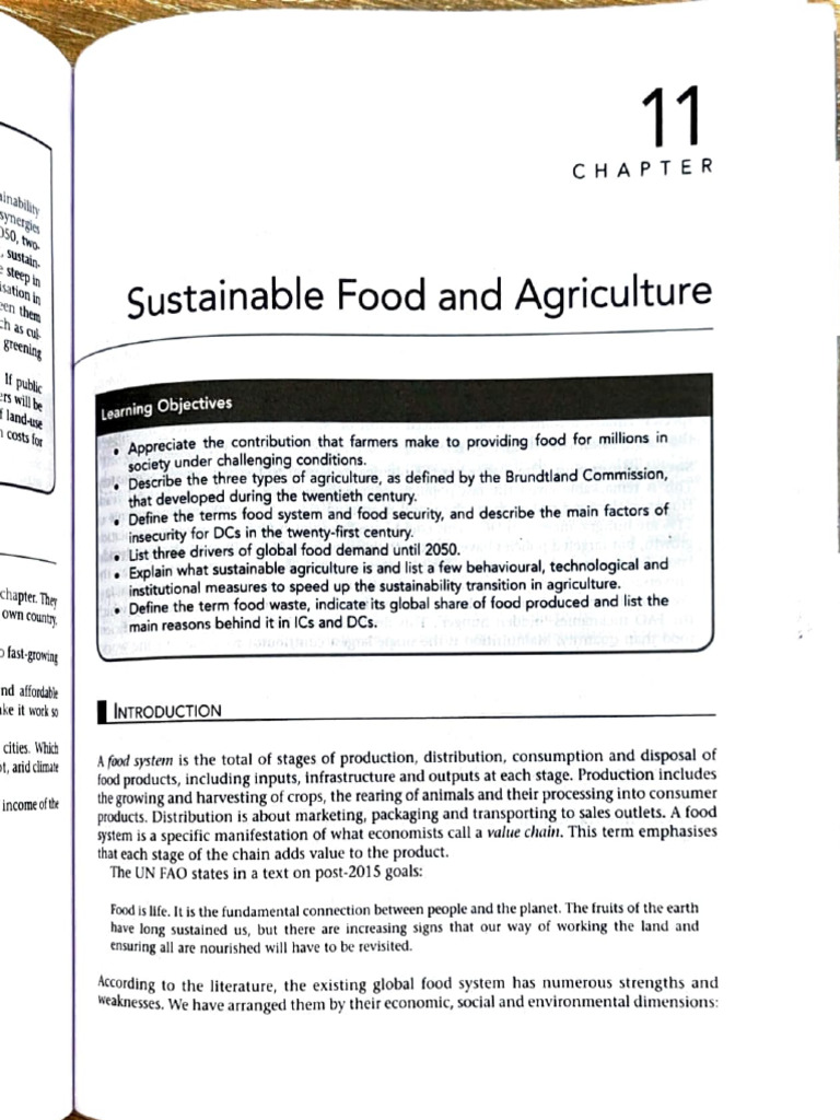 Sustainable Food and Agriculture: Ainability | PDF | Agriculture ...