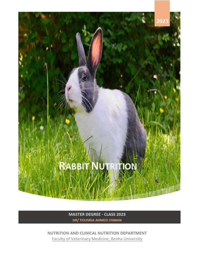 Rabbit Nutri | PDF | Dietary Fiber | Diet & Nutrition