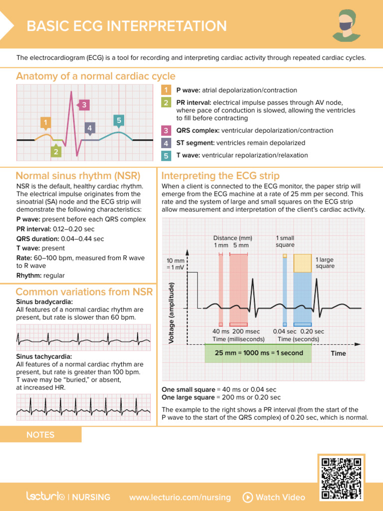 Nursing CS Basic-ECG-Interpretation 02 | PDF | Electrocardiography ...