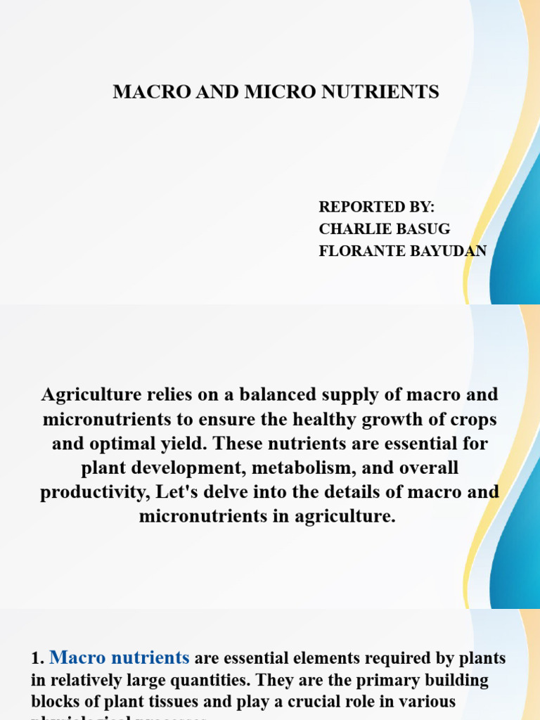 Macro and Micronutrients | PDF | Nutrients | Plant Nutrition