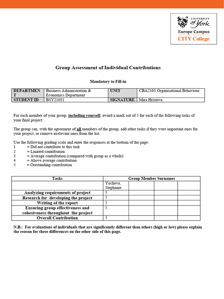 Group Assessment Form | PDF