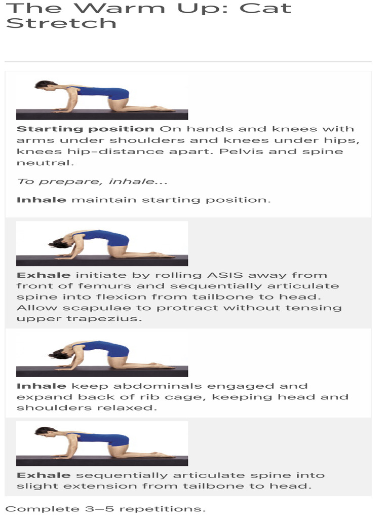 STOTT PILATES Warm Up Cat Stretch Merrithew® | PDF | Musculoskeletal ...