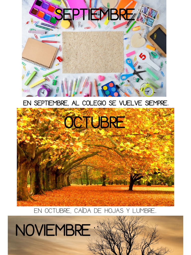 MESES DEL AÑO Con Rima | PDF | Ciencias sociales | Arte