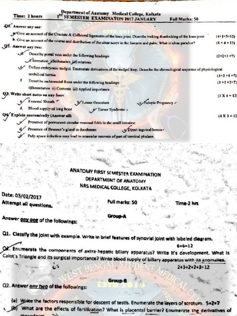 Anat 1st Sem 2017 | PDF Anat 1st Sem 2017 | PDF