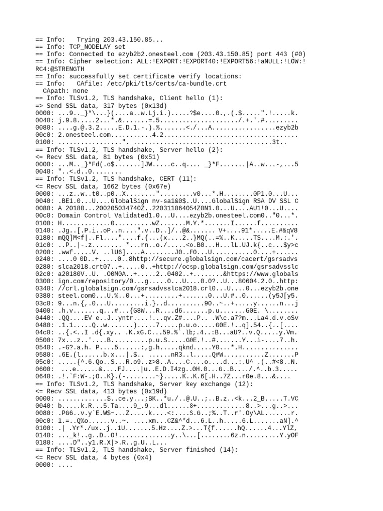 Logs 1 | PDF | Transport Layer Security | Cyberspace