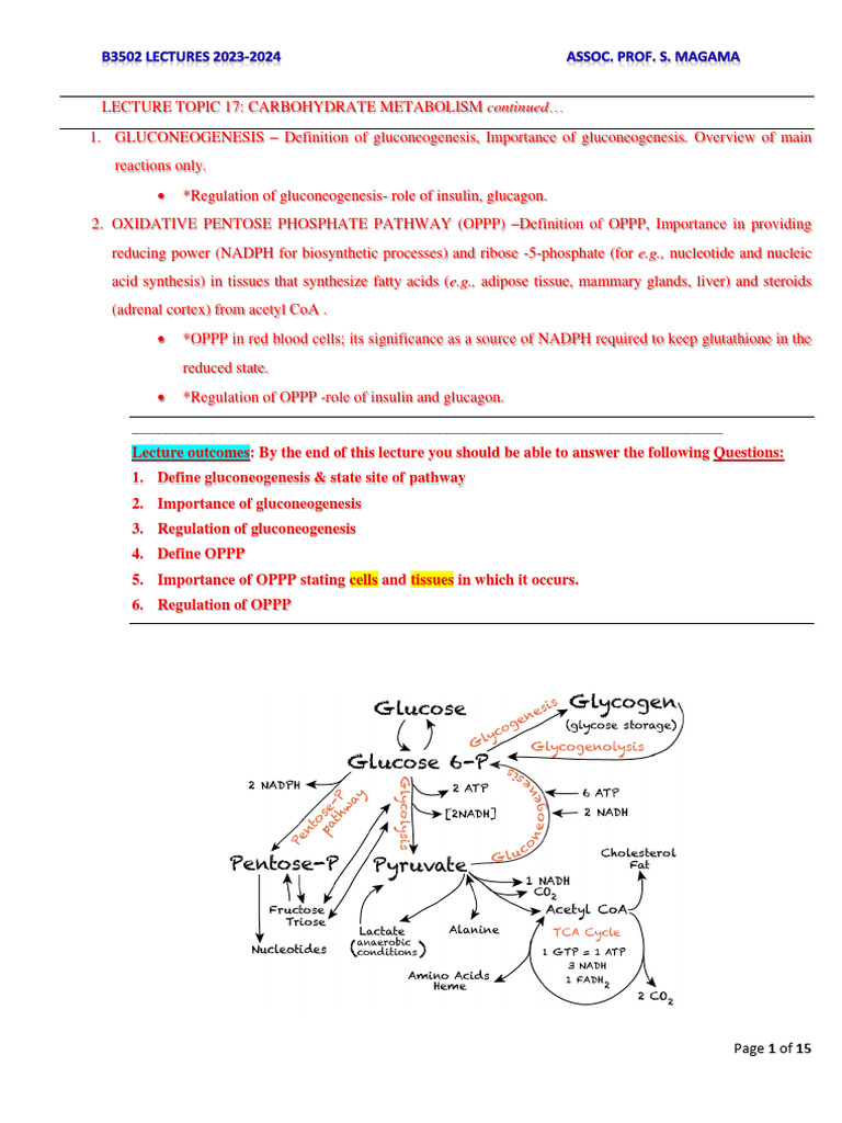 2023-2024-B3502-Lecture 17-Carbohydrate Metabolism-Gluconeogenesis and ... 2023-2024-B3502-Lecture 17-Carbohydrate Metabolism-Gluconeogenesis and ...