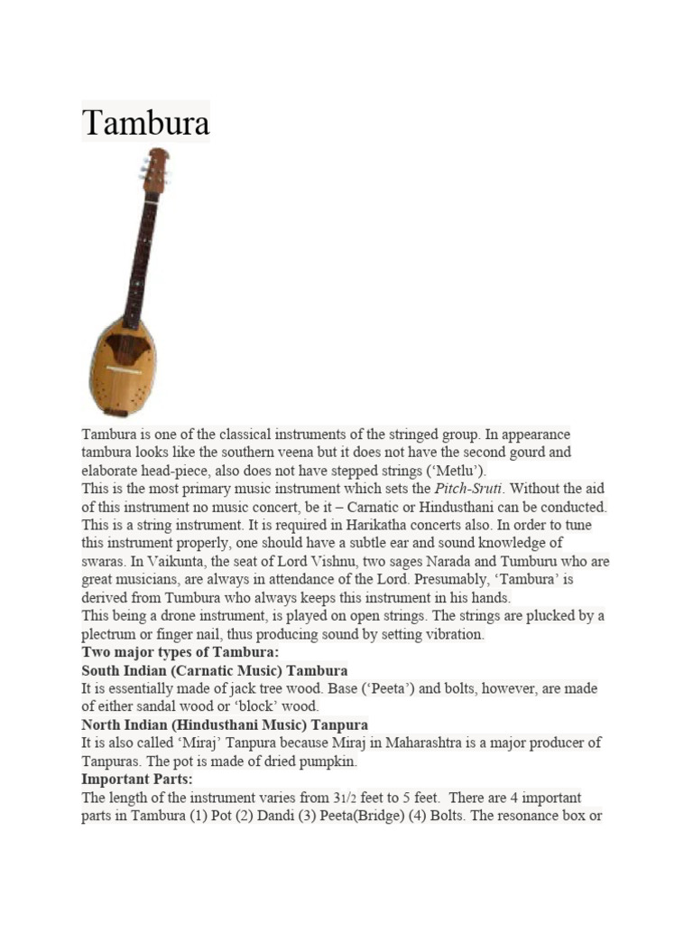 Musical Instruments | PDF | Musical Instruments | Music Technology