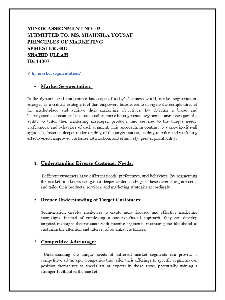 Minor Assignment No 3 | PDF | Marketing | Market Segmentation