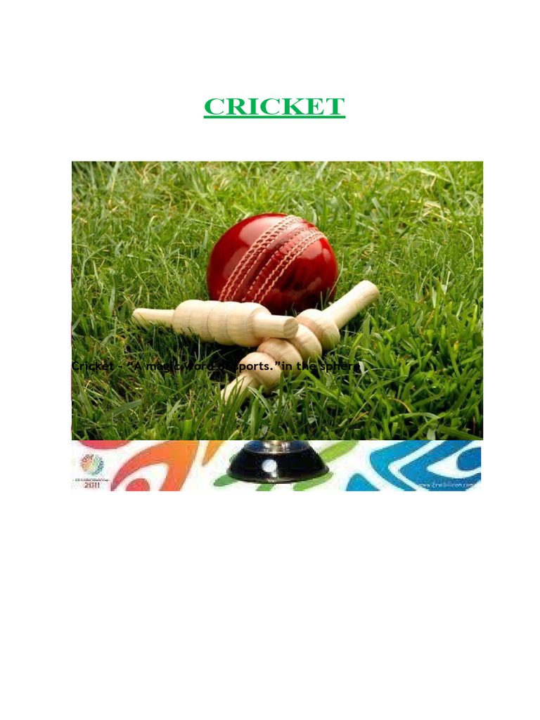 Cricket Final Project | PDF