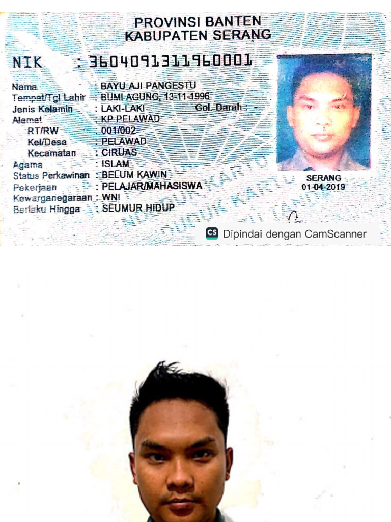 Bayu Aji Pangestu | PDF