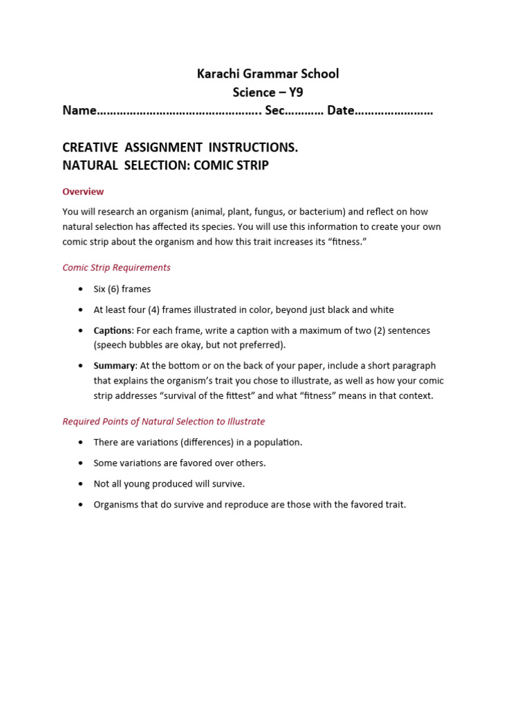 Comic Strip Instructions and Rubric-Natural Selection - FINAL | PDF ...