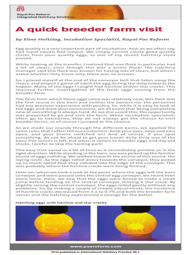 Hatchery Insights for Poultry Experts | PDF | Hygiene | Egg