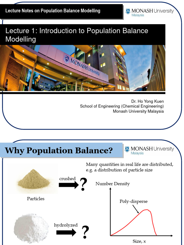 Population Balance Modeling | PDF | Colloid | Polymers