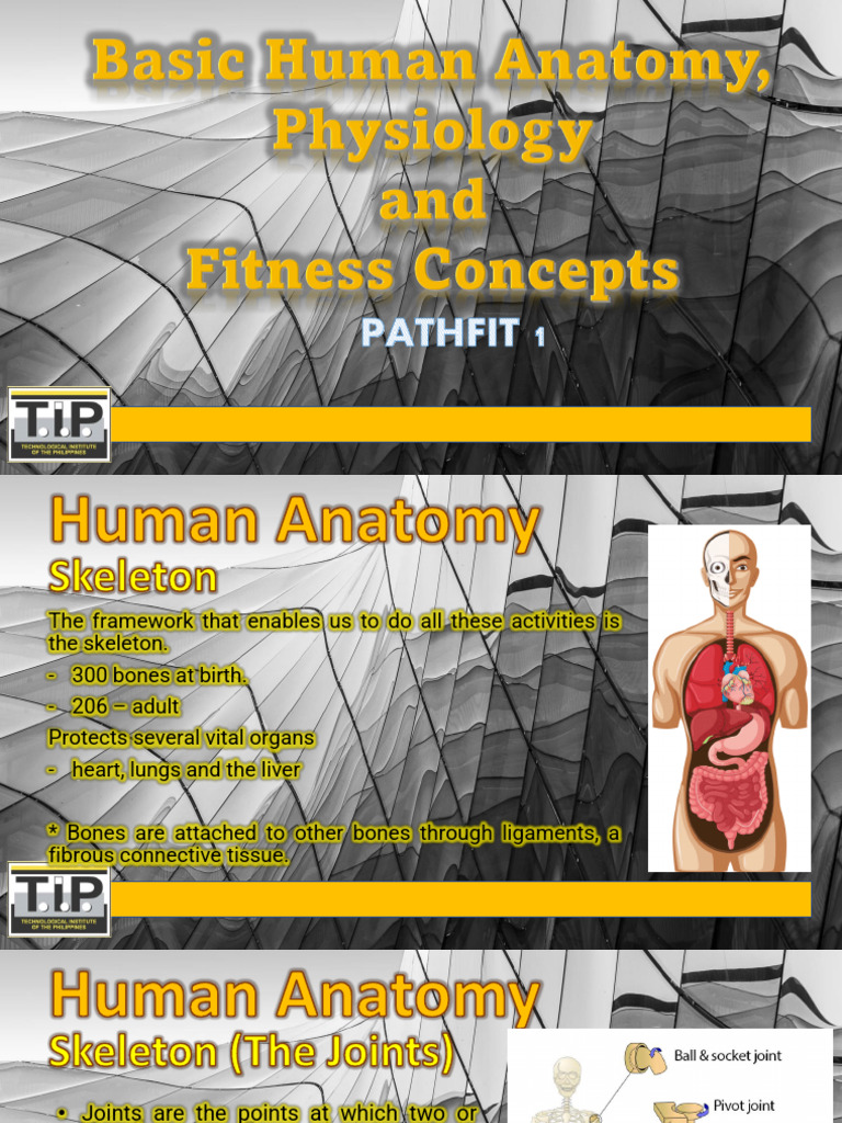 Week 3 - Basic Human Anatomy, Physiology & Fitness Concepts | PDF ...