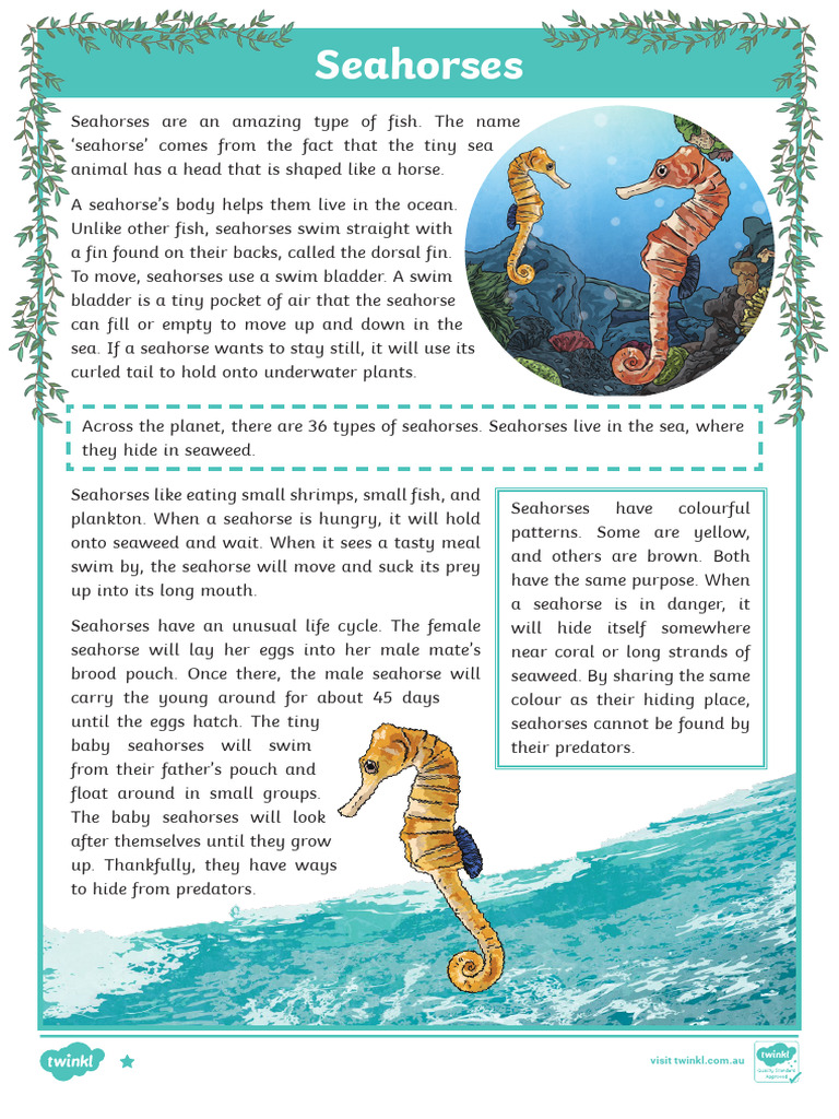 Au SC 2854 Seahorse Differentiated Fact Files - Ver - 1 | PDF | Fish ...