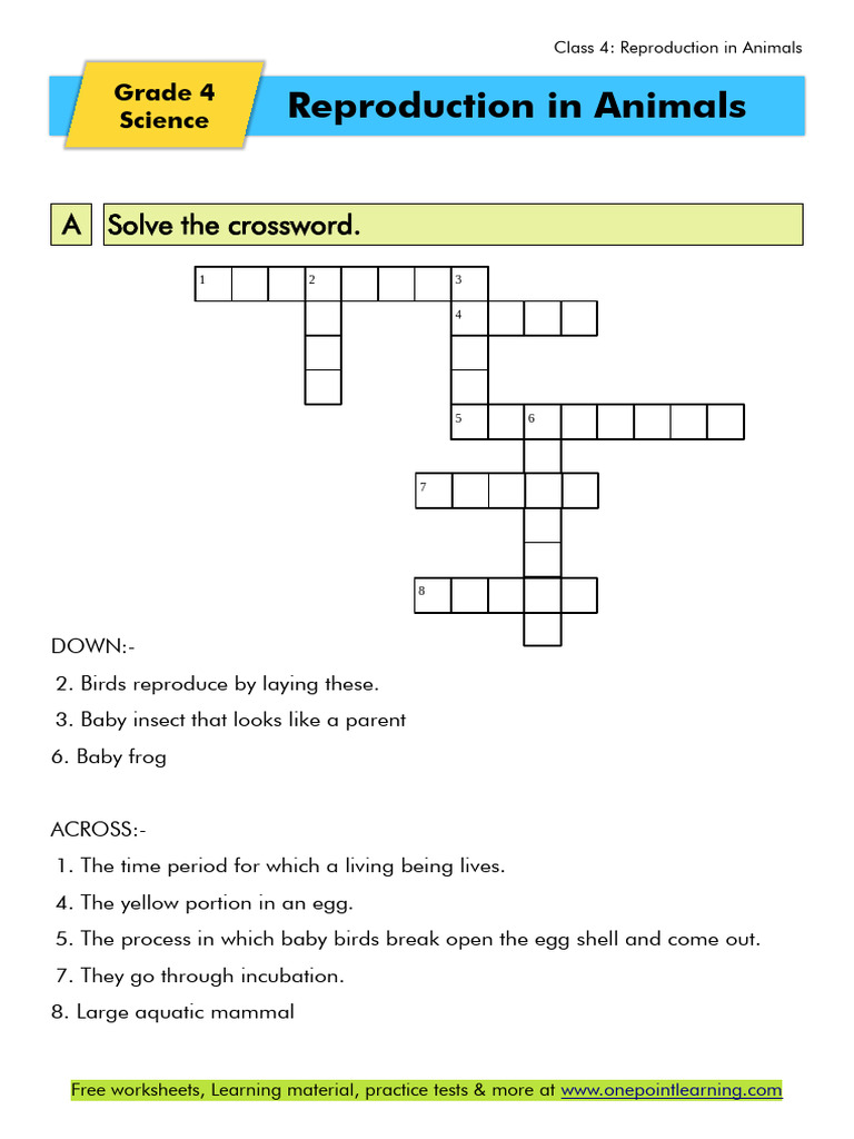 Science Worksheet Reproduction in Animals Class 4 C | PDF | Egg | Zoology